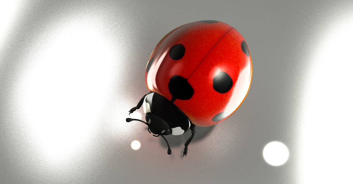 The Legends Behind the Ladybug – Luckables